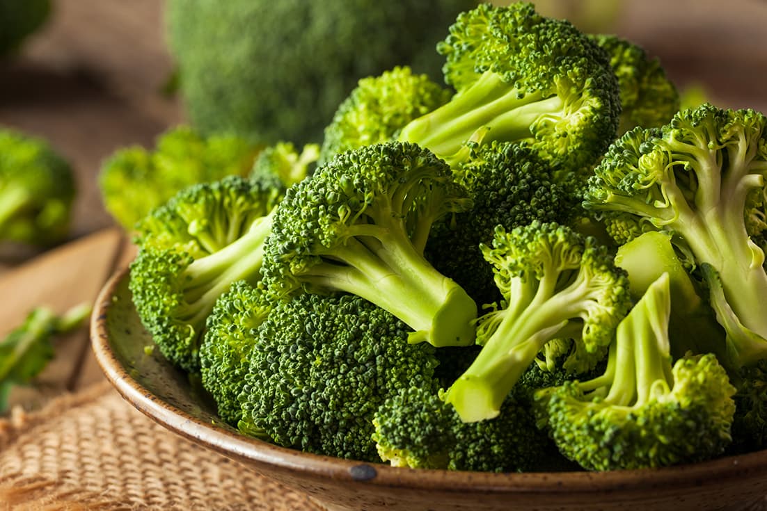 A Biography of Broccoli - Veggie Fest
