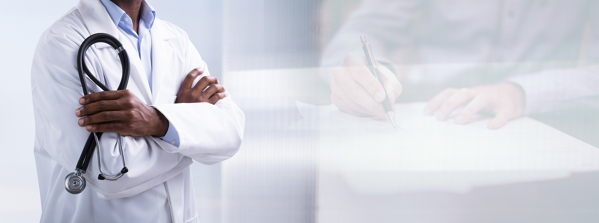 Interview with Dr. Terry Mason - Veggie Fest